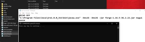 Could Not Create The Java Virtual Machine 1165 Forge Server