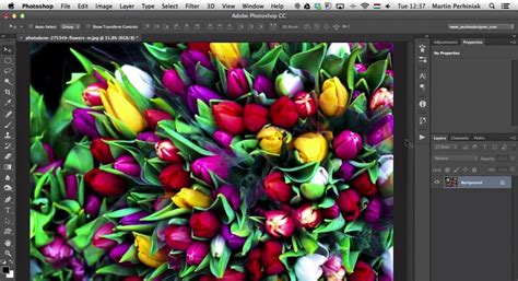 Photoshop Guide To Color Settings Color Profiles And Proofing