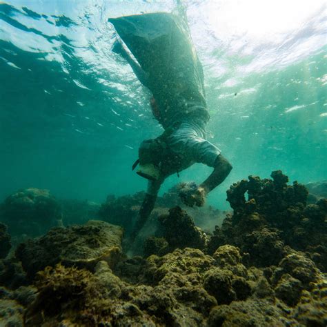 Photos Intrepid Women Seaweed Divers Of India Face Risks Yet Persist
