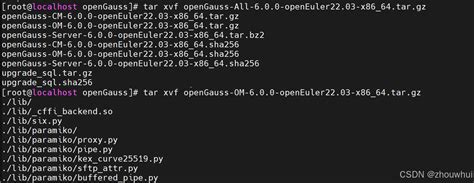 【opengauss】600企业版单节点安装，配置刷新opengauss单节点安装 Csdn博客