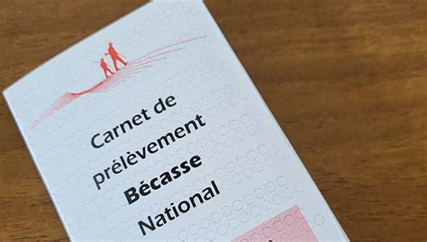 Renvoyez votre carnet bécasse Fédération des Chasseurs de l Oise