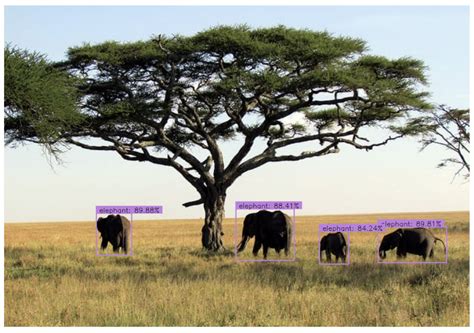 Object Detection Made Easy With Tensorflow Hub Tutorial