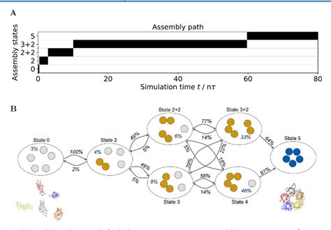 Figure 1 From Structure Based Protein Assembly Simulations Including Various Binding Sites And