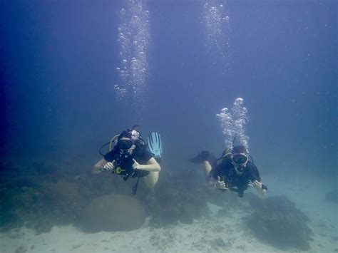 Liloan Lighthouse Dive Site Padi