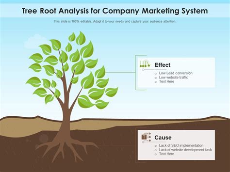 Tree Root Analysis For Company Marketing System Presentation Graphics Presentation