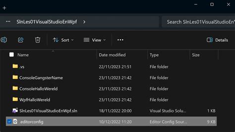 Visual Studio Ontwikkelomgeving