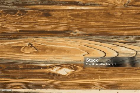Reclaimed Wood Textures Stock Illustration Download Image Now Art