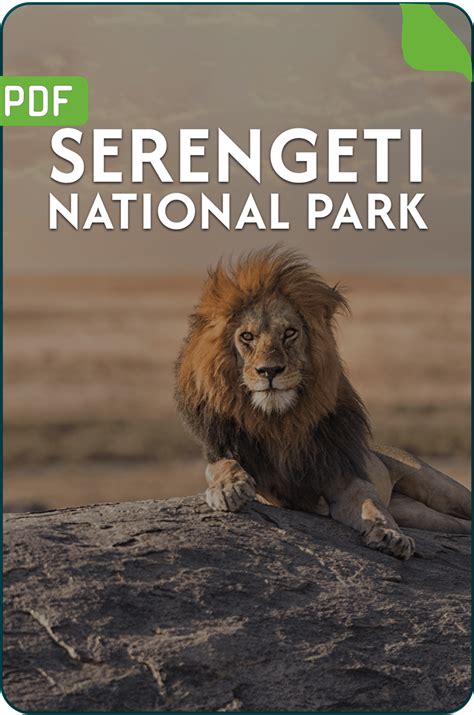 Wildebeest Migration Cycle Complete Guide 2025