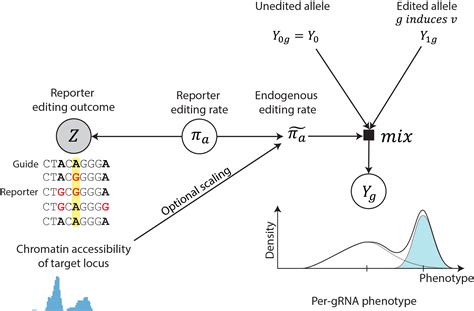 Bean Model Description — Bean 1 0 0 Documentation