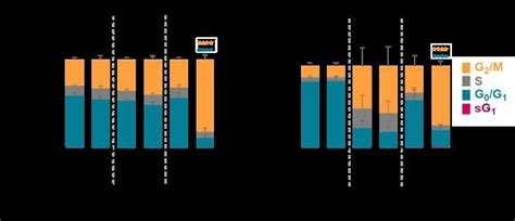 Cell Cycle Analysis Of A Unsynchronised Uvw Cells And B