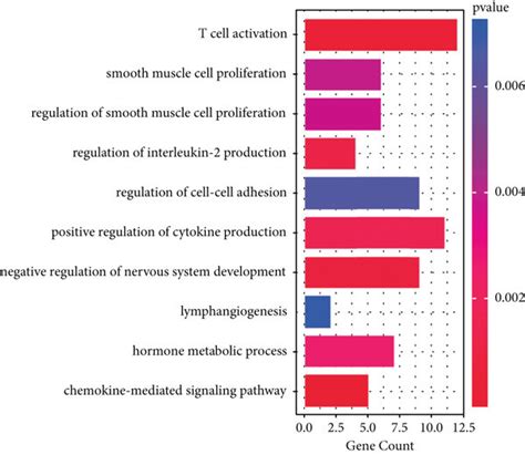 Analysis Of Gene Ontology Biological Process GO BP And KEGG Pathways