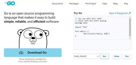 Golang Conoce El Lenguaje Del Futuro Creado Por Google
