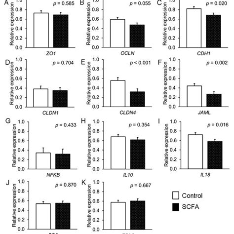 Effect Of Short Chain Fatty Acids Scfa On Expression Of Download