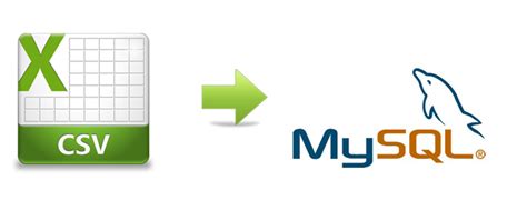 Importar Excel A Mysql V Deo Tutorial