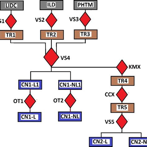 Flow Chart For The Generation Of Training Data For Cnn 1 And Cnn 2