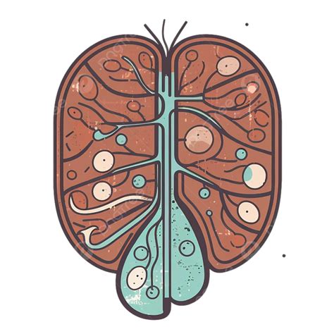간염의 날 플랫 만화 간장 기관 건강 Png 일러스트 및 이미지 에 대한 무료 다운로드 Pngtree