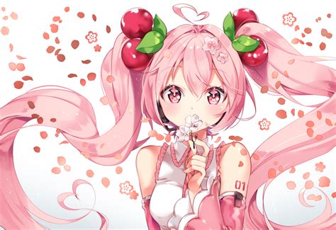 🎼🎶sakura Miku🍒🌸🍒 Rhatsune