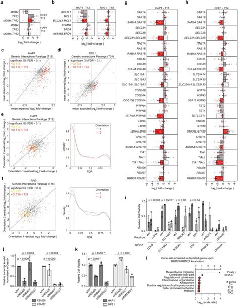 Chymera Reveals Widespread Non Additive Fitness Phenotypes Upon Download Scientific Diagram