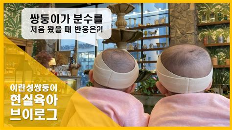 Vlog 생후4개월 이란성쌍둥이 육아브이로그 카페 놀러가다 Youtube
