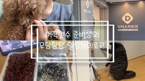 Vlogㅣ일상브이로그 어학연수 준비생의 우당탕탕 일상브이로그 어학연수 준비강아지고양이일상 Youtube