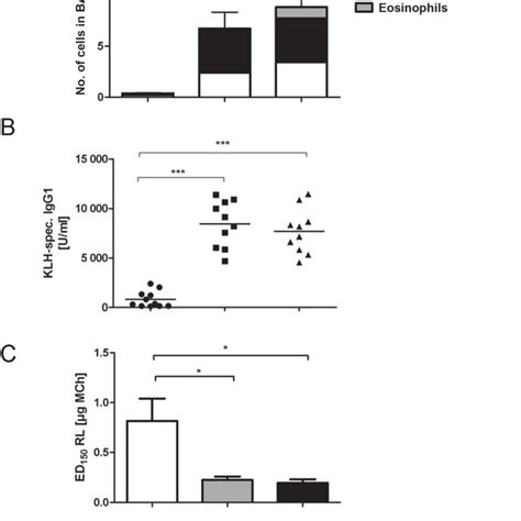 Sensitization Phase And Effector Phase In Allergic Bronchial Asthma Th