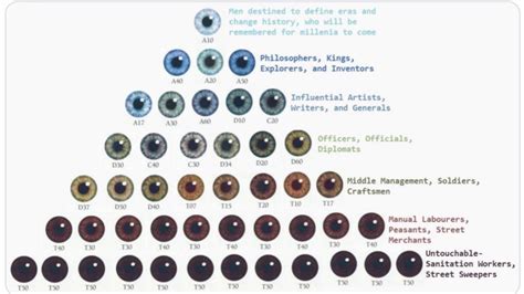 Tableau La Couleur De Vos Yeux D Pend De Votre Adn G N Tique Sur Jvarchive Forum