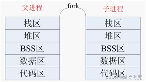 fork函数与vfork函数 fork vfork csdn博客
