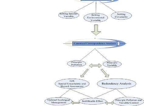 Flow Charts Of Assessment Of Soil Health Download Scientific Diagram
