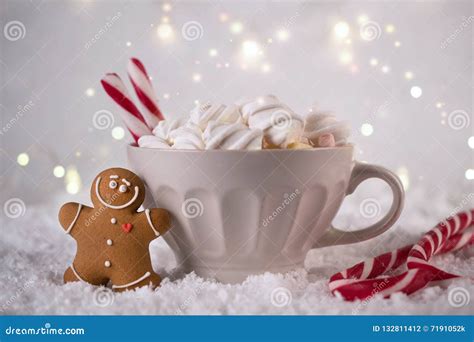Winter Hot Drink Cacao With Marshmallows And Gingerbread Man Cookies