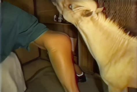 Pony Fucks Zoophile Latin Girl Hard