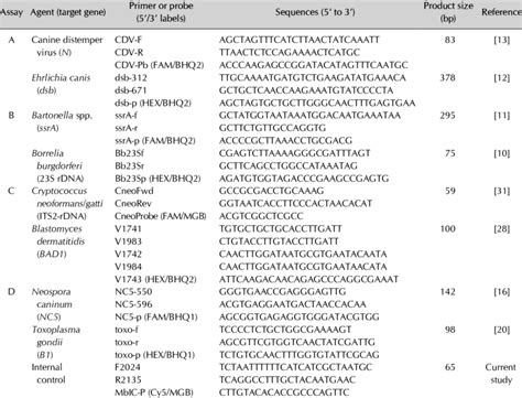 Primer And Probe Sequences Used For Multiplex Quantitative Real Time