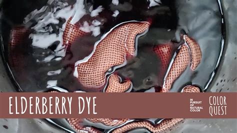 How To Make Natural Dye With Elderberry Organic Color Mauve Beige