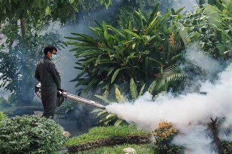 Prevent Software Bugs From Ever Occurring Ragile
