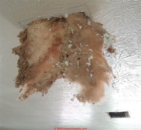 Asbestos Insulation Identification