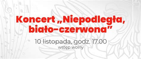 Koncert listopada r Państwowa Szkoła Muzyczna I stopnia im A Kanta w Działdowie