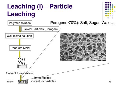 Ppt Tissue Engineering And Materials Processing Powerpoint Presentation Id9406107