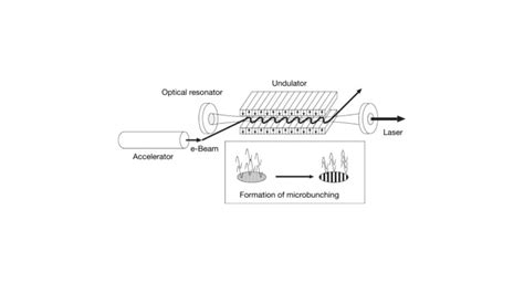 Electron Beam Accelerator Market Size Share Growth And Forecast By 2031