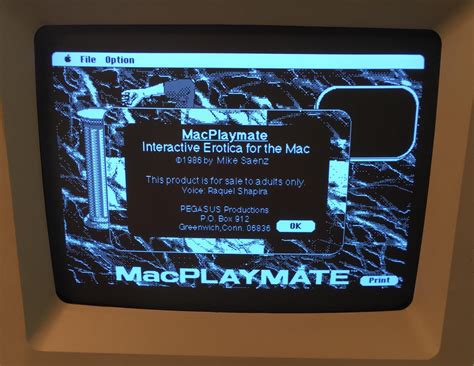 Found Hidden And Charming Mac Porn Game From Atlas Obscura