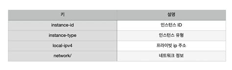 메타데이터란 Ec2 인스턴스 메타데이터 확인해 보기 Developersio