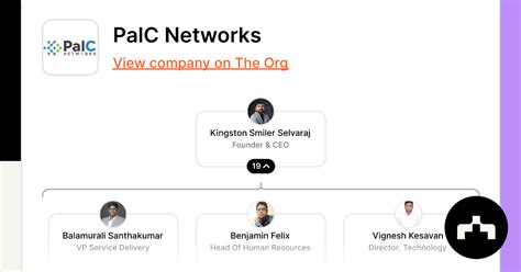 Palc Networks The Org
