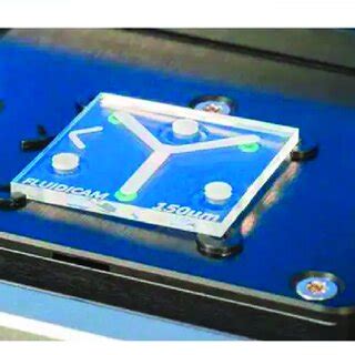 Experimental Model Of Microfluidics Chip Download Scientific Diagram
