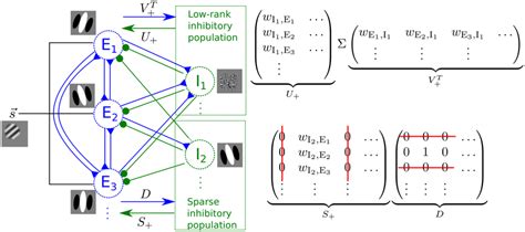 Low Rank Plus Sparse Decomposition Of The Recurrent Connectivity Download Scientific Diagram