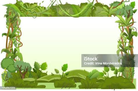 정글 프레임 녹색 열대 나무 허브와 관목 플랫 만화 스타일 녹색 이국적인 풍경 흰색 배경에 격리 리아나와 손바닥 벡터 관광에 대한 스톡 벡터 아트 및 기타 이미지 Istock