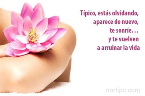 30 Frases Reveladoras Sobre La Hipocresía Oniruscl