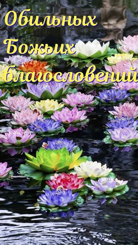 Християнські вірші Катерини Бойко Facebook