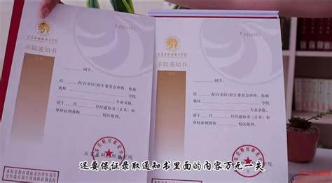2024年石家庄财经职业学院单招录取通知书录取通知书河北单招网