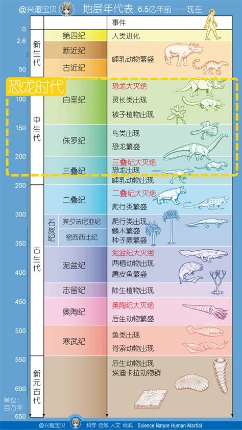恐龙的种类有哪些？ 知乎