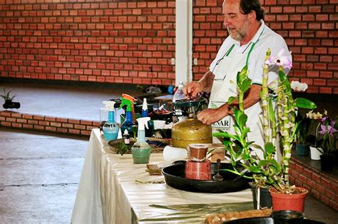 Cultivo De Orquídeas Ganha Espaço Em Ms E Se Fortalece Como Atividade