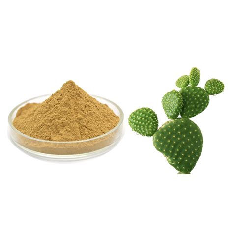 Cactus Extract Shanghai Yoh Bio Tech Co Ltd