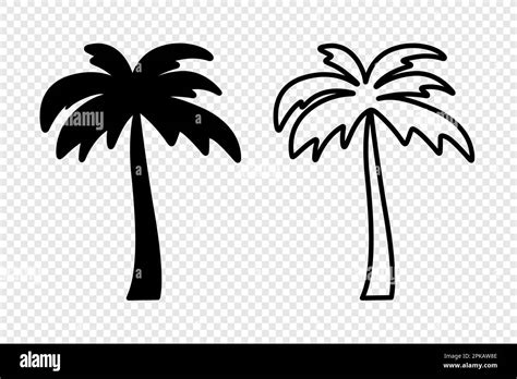 Vector Palm Trees Palm Tree Icon Set Isolated Palm Silhouettes